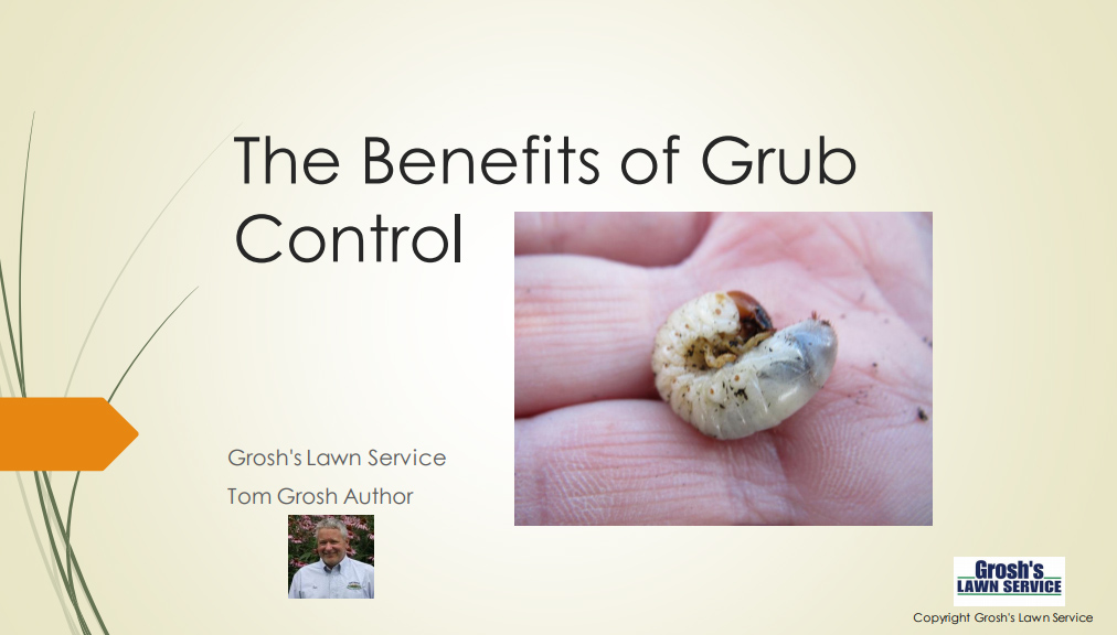 The Benefits of Grub Control - Groshs Lawn Service